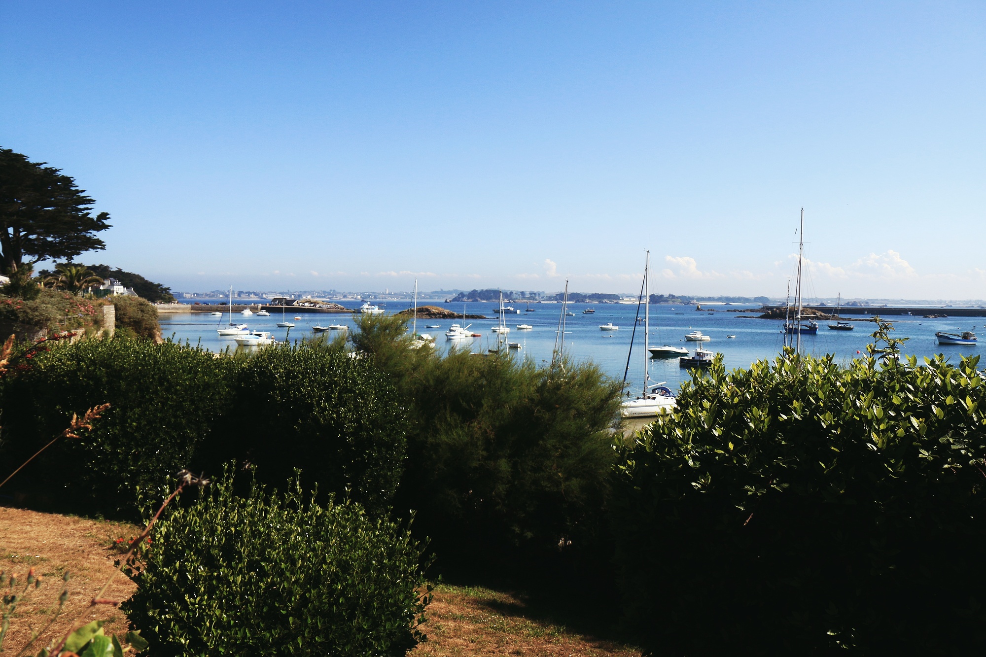 Visiter Roscoff et l'île de Batz en Bretagne - Léa Guillotte